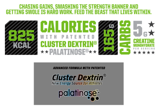 HULK GAINER 4kg | Muscle Gain Formula | NUTRITECH® Global